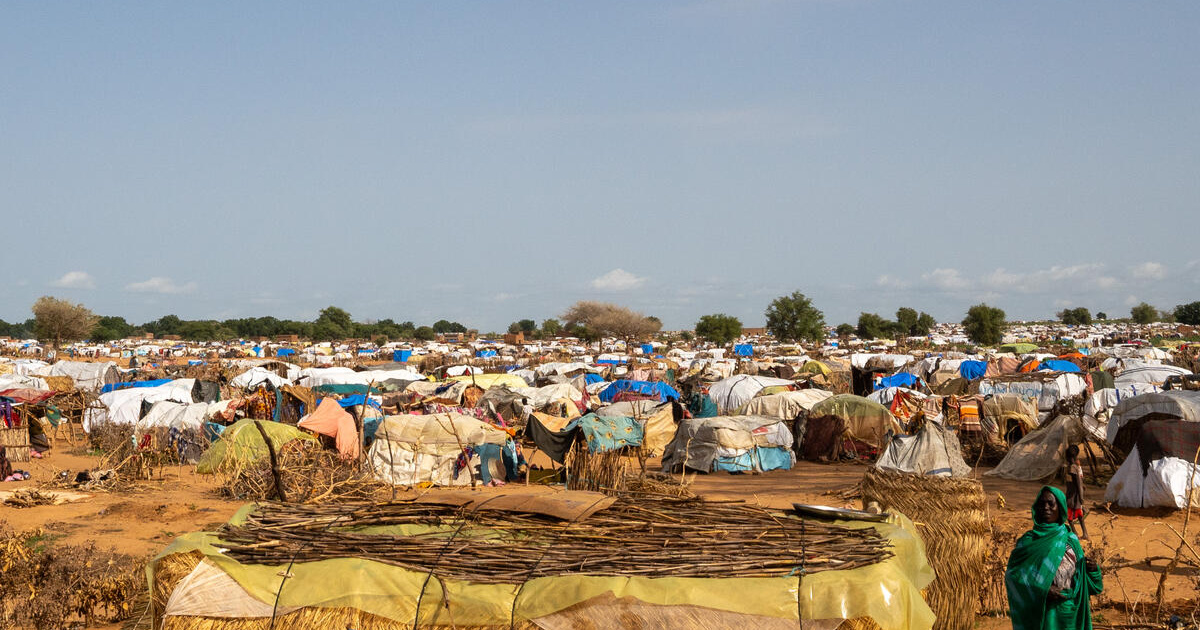 En Darfur, el devastador conflicto de Sudán ha causado casi 4.000 ...